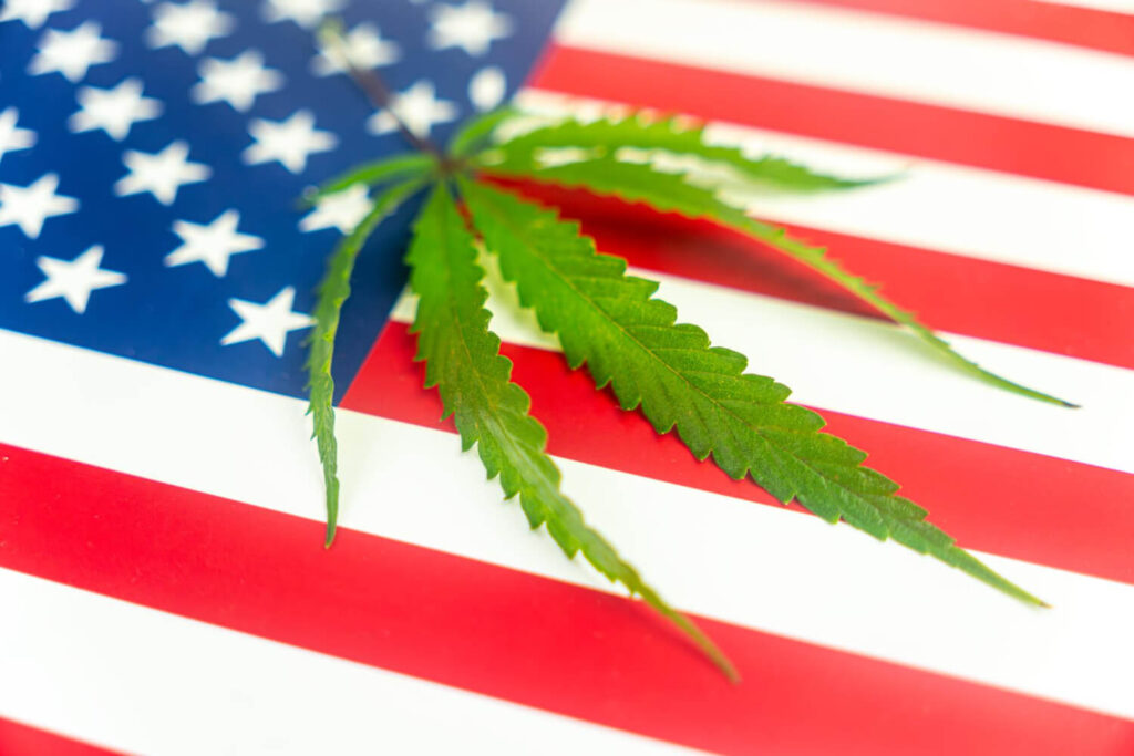Where Is THCV Legal In The United States Where Is THCV Legal In The United States